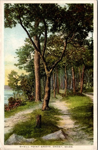 Onset MA Shell Point Grove Postcard unused 1910s/20s | eBay