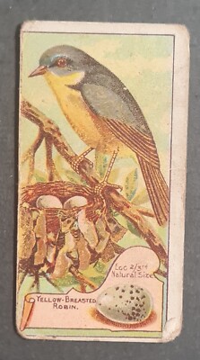 1912 CAPSTAN BIRDS OF AUSTRALASIA YELLOW BREASTED ROBIN CARD No 36 ...