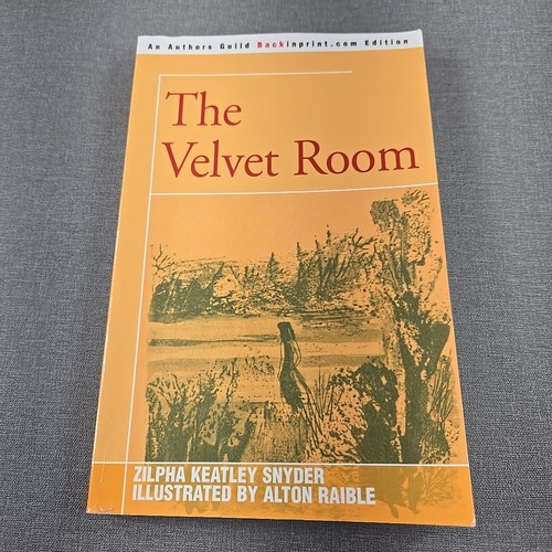 The Velvet Room by Zilpha Keatley Snyder ~ 2004 Trade Paperback Book | eBay