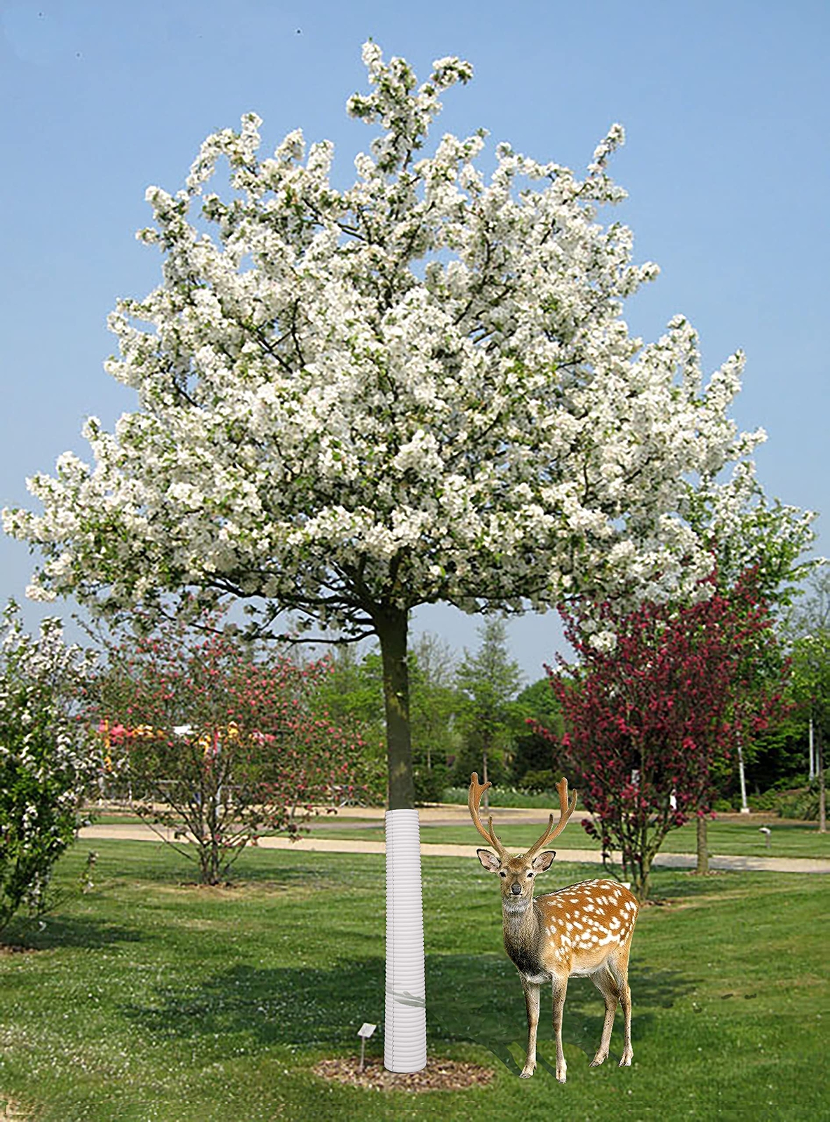 3" x 36" Corrugated Tree Guard Trunk Protector - 2 Pack | eBay