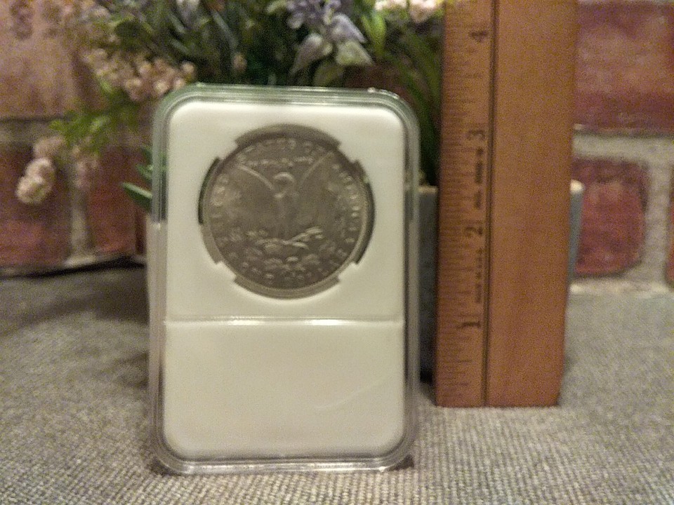 1895 Morgan Dollar Pluribus Unum Silver Dollar Copy Coin Framed In ...