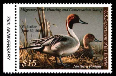 RW75 MINT FEDERAL DUCK STAMP - MOGNH - XF - $60.00 (ESP#4739) | eBay