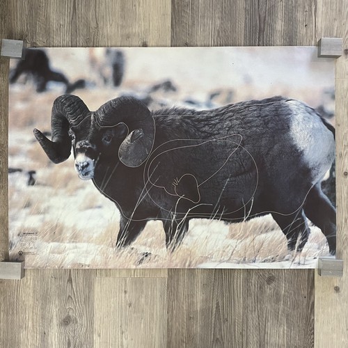 Vintage Archery Target Poster 27x39 Ram Hunting Sportsman's Game ...