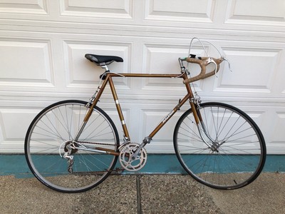 Raleigh Super Course Road Bike Road Bike | eBay