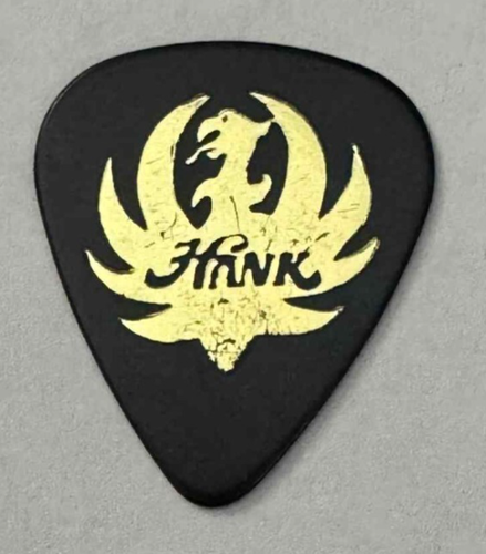 HANK WILLIAMS Jr Guitar Pick from Show Stage | eBay