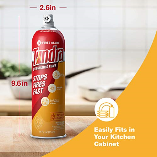 First Alert AF400-2 Tundra Fire Extinguishing Aerosol Spray Pack of 2 ...