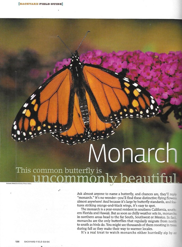 Gardening For Birds And Butterflies Magazine Colorful Plants ...