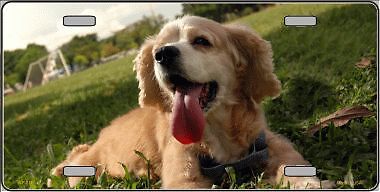 Cocker Spaniel Dog Metal Novelty License Plate Tag LP2166 | eBay