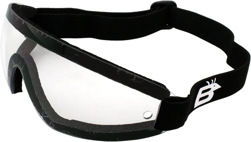 Birdz Eyewear Wing Skydiving & Motorcycle Goggles 313055454460| eBay