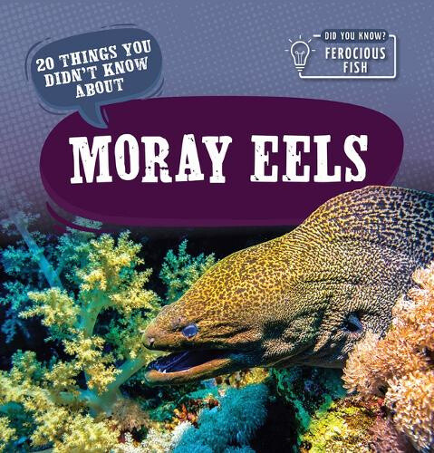 20 Things You Didn't Know about Moray Eels (Did You Know? Ferocious ...