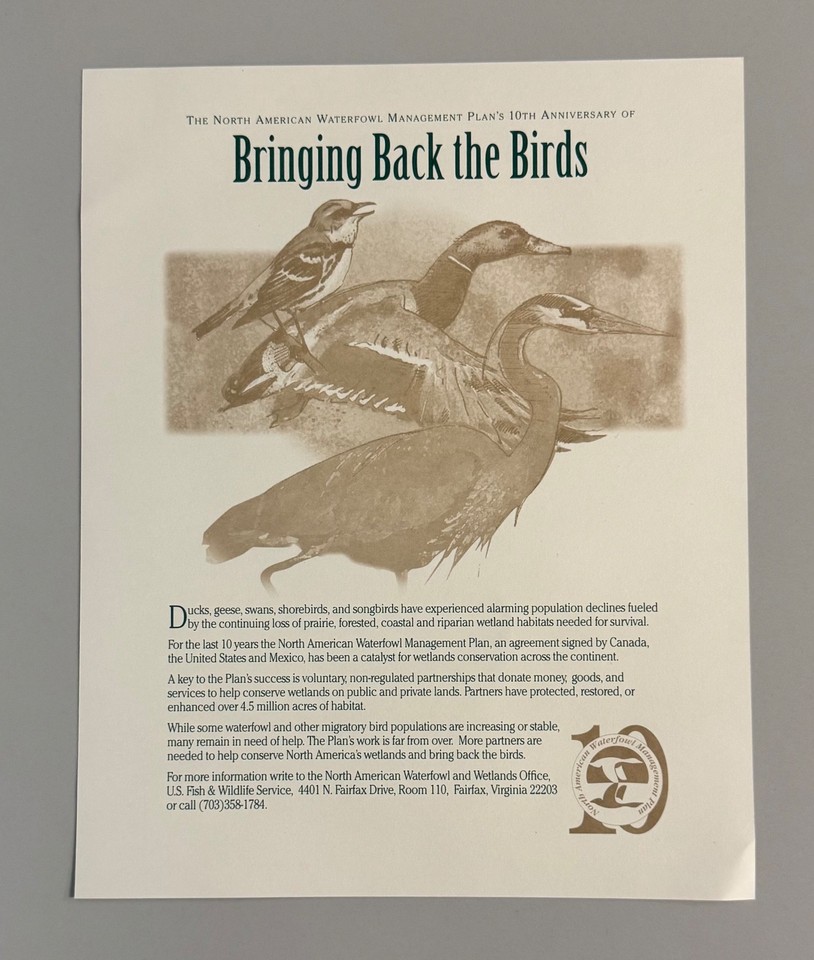 1996 Federal Duck Stamp - Appreciation Souvenir Card w/Stamp - Artist ...