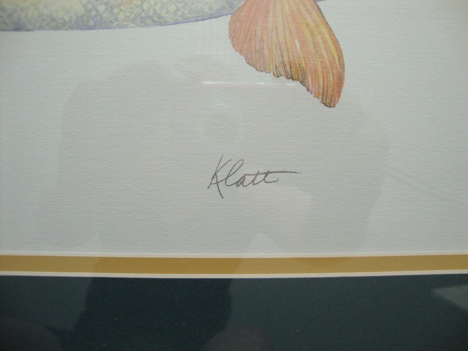 Eileen Klatt Signed Print RAINBOW TROUT (Framed and Matted) | eBay