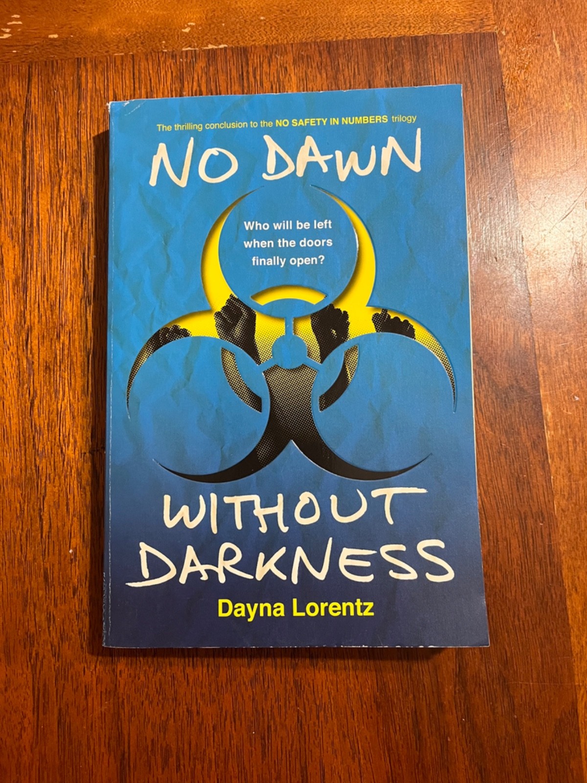 No Dawn Without Darkness : No Safety in Numbers: Book 3 by Dayna ...
