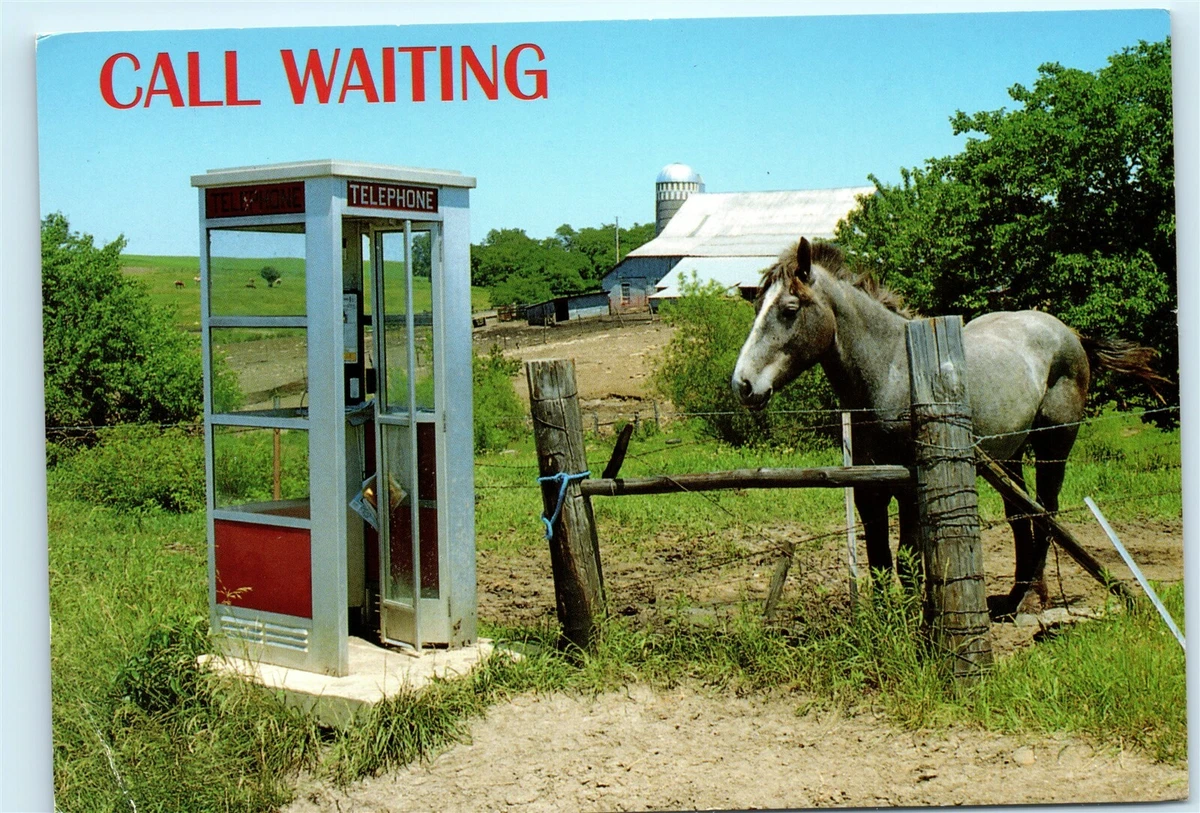 Waiting For A Call Funny