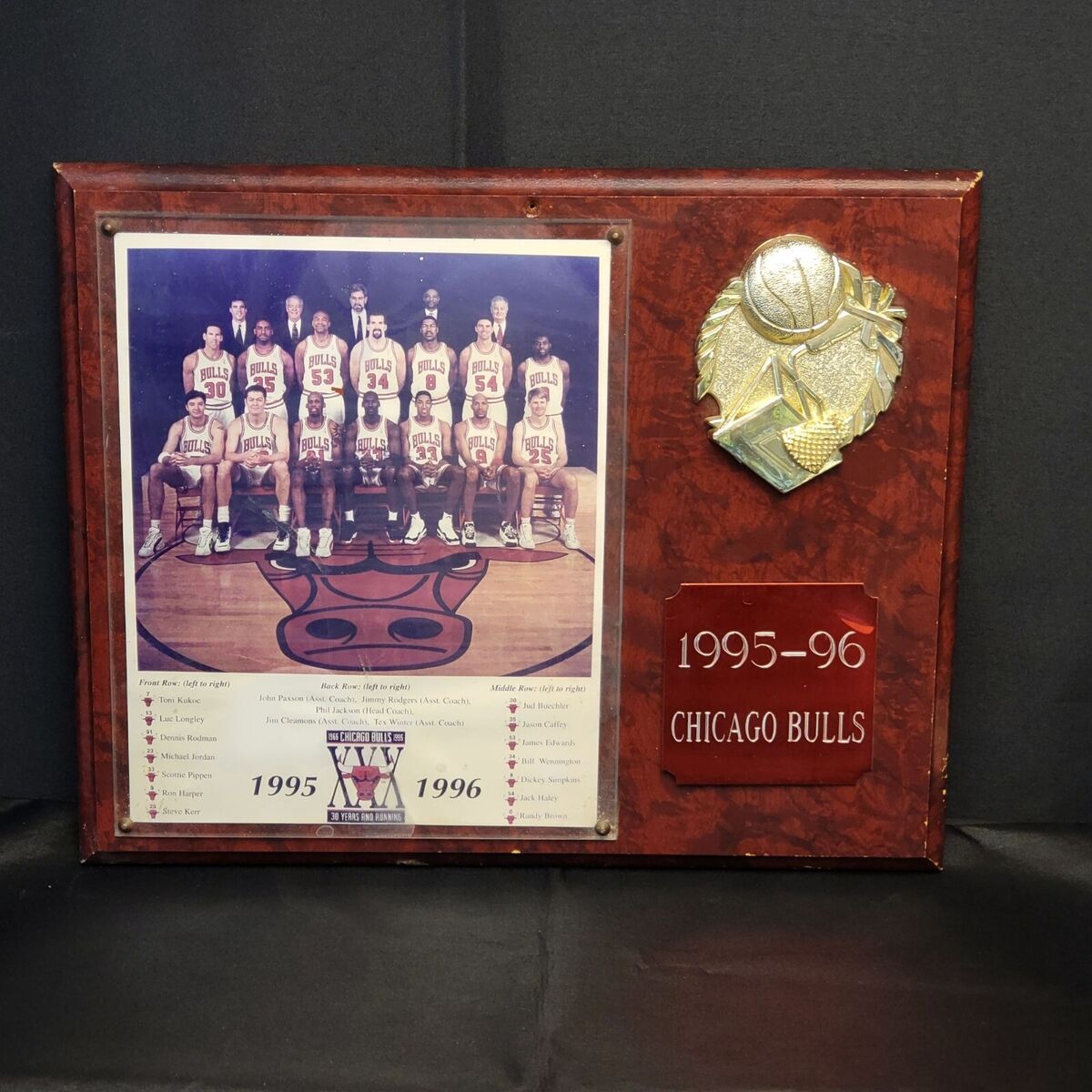 1995-96 Chicago Bulls Plaque Team Photo Engraved Basketball 1995-96 Chicago Bulls Plaque Team Photo Engraved Basketball