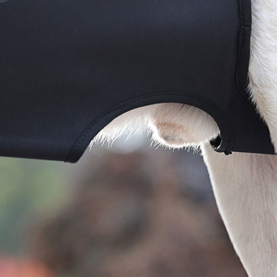 Puppy Leg Support Carry Strap Lift Harness for Dog Surgical Joint Leg ...