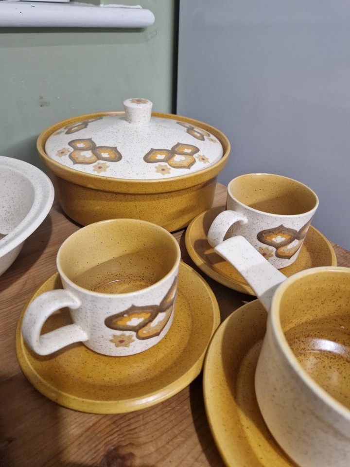 Vintage Royal Worcester Palissy Kalabar 17-Piece Set. Mustard Yellow ...