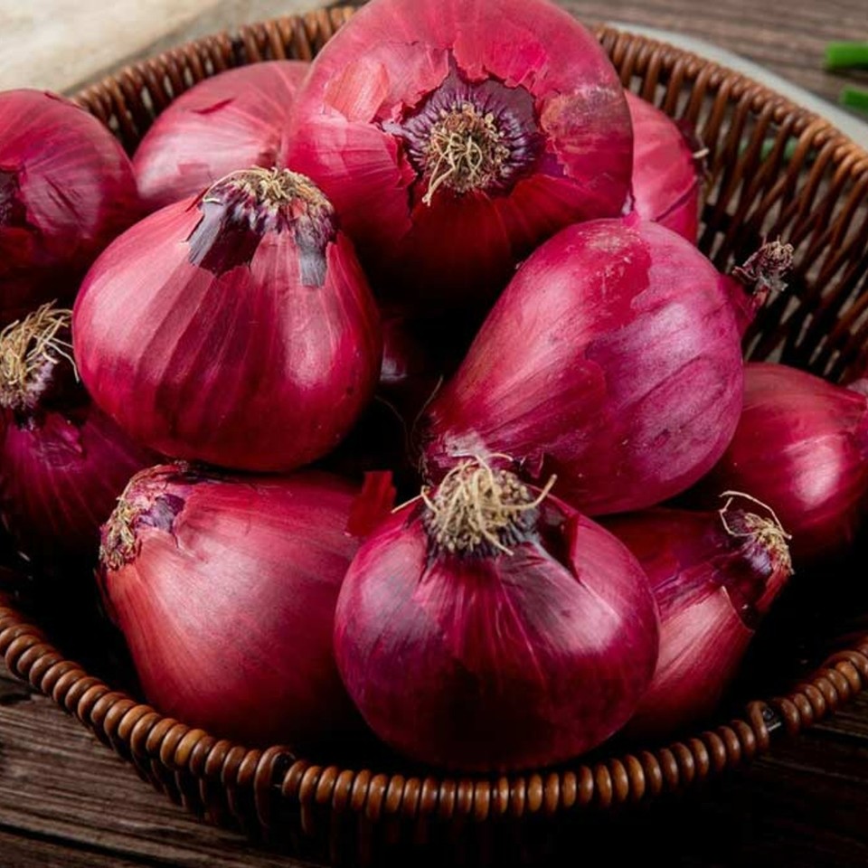 Red Onion Sets Red Winter - High Yield Autumn Planting Vegetable Bulbs ...