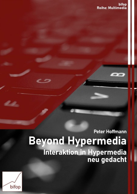 Beyond Hypermedia von Peter Hoffmann (2021, Taschenbuch) online kaufen | eBay.de