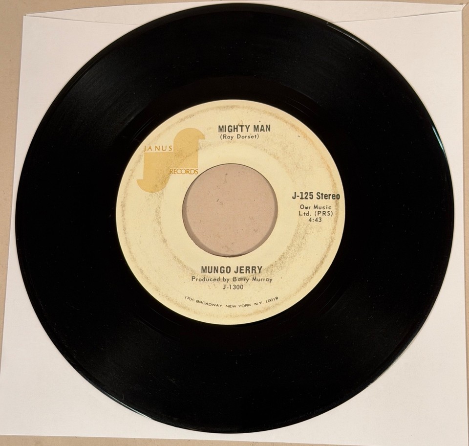 Mungo Jerry, In The Summertime Record VG+, Janus Records | eBay