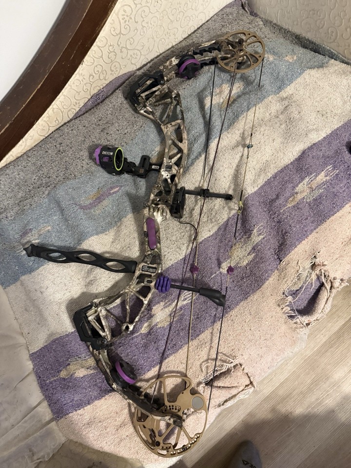 Bear Paradox 70 Pound Rt Hand | eBay