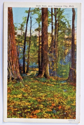 Beautiful Forest Scene, State Park, Near Traverse City, Michigan VTG ...