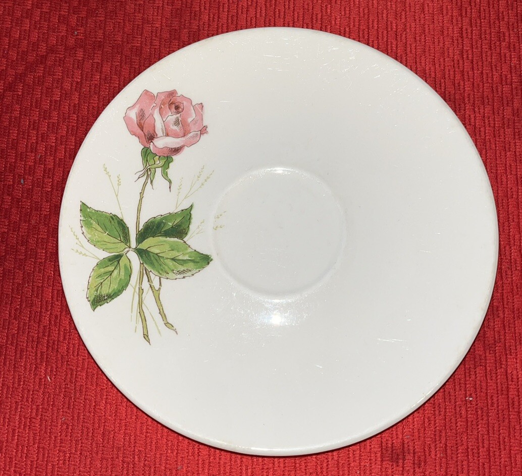 Edwin Knowles Tea Rose Tea Cup Saucer | eBay