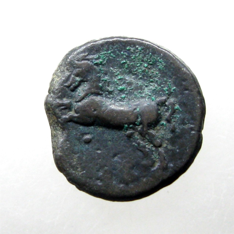 MASSINISSA / MICIPSA NUMIDIA AE26_____Punic Wars______BETRAYED CARTHAGE ...