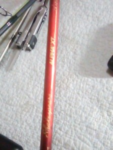 Rare&ExoticTreasure | eBay Stores