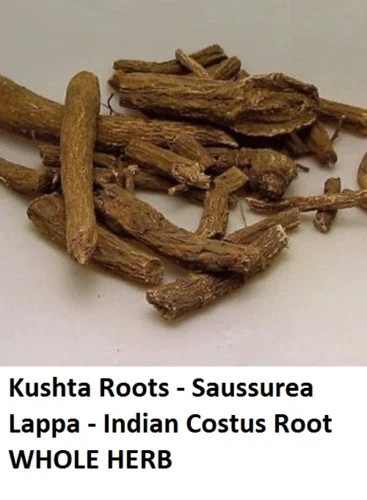 Kushta Root - Saussurea Lappa - Indian Costus Root Whole Original ...