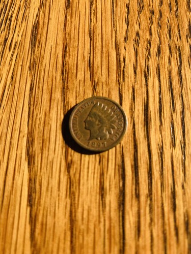 1897-Indian Head(Chief) Penny-One Cent-Circulated | eBay