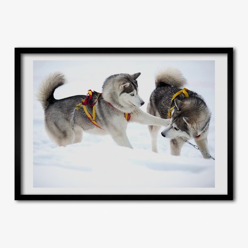 Tulup Photo Le salon 100x70cm Cadre MDF Décor Husky en hiver | eBay