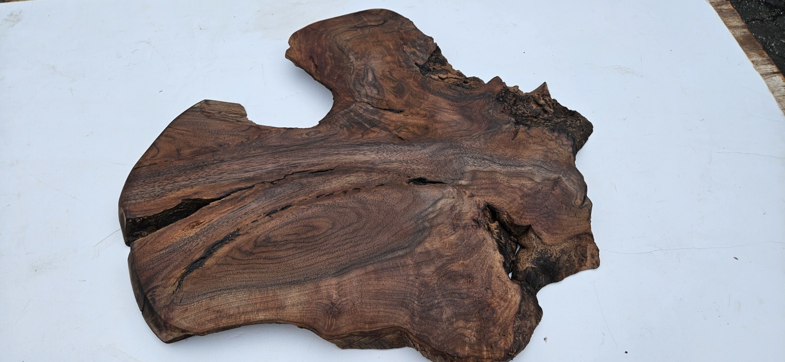 super unique stump root slab, super character slab Black Walnut, insane ...