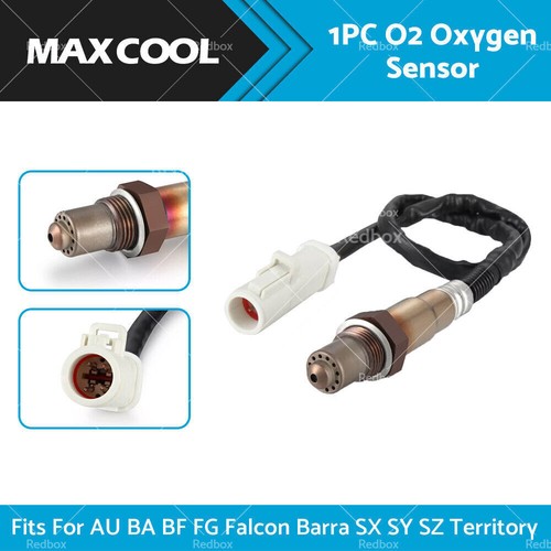 O2 Oxygen Sensor Fits For AU BA BF FG Falcon Barra SX SY SZ Territory ...