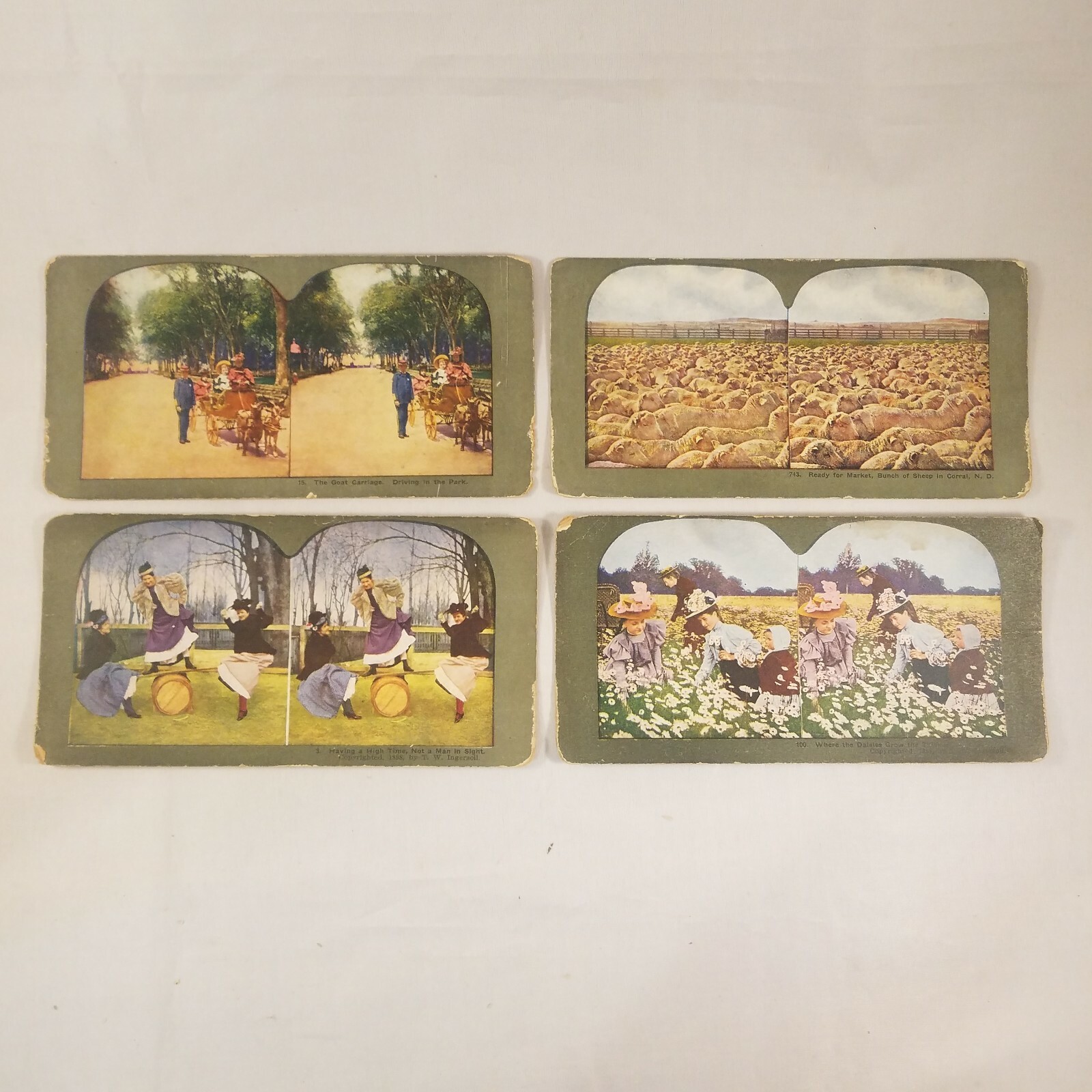 Set of 12 Stereoscope Cards - Miscellaneous Subjects | eBay