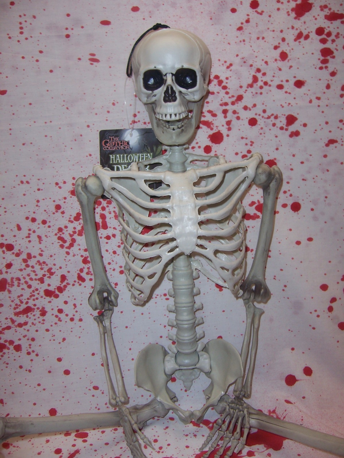 3 Foot Skeleton Halloween Science Lab Laboratory Skull Hanging Prop ...