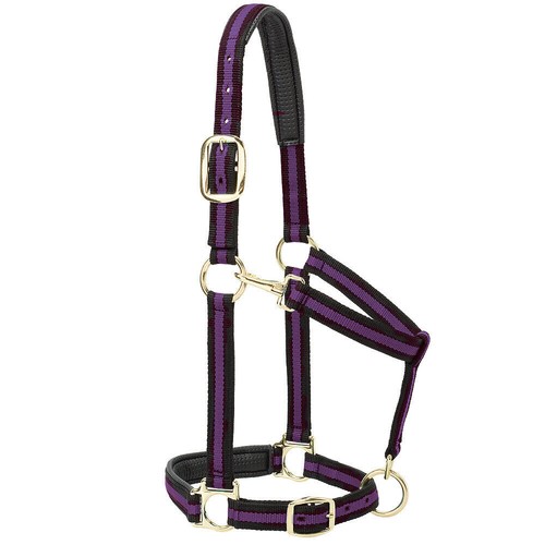 14WL Weaver Purple Padded Adjustable Chin And Throat Snap Halter Average Horse | eBay