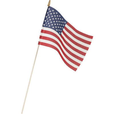 American Stick Flag 8" x 12" | eBay