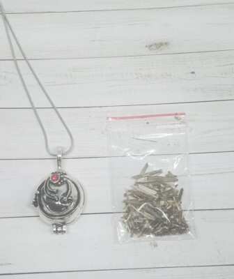 The Vampire Diaries Inspired Elena Gilbert Vervain Locket and Dried ...