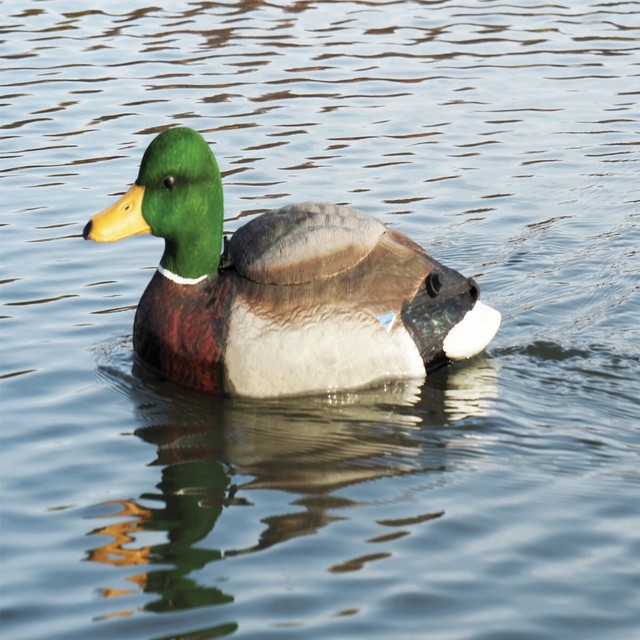The Real Decoy Natural Swimmer Mallard Drake Flocked Head for sale ...