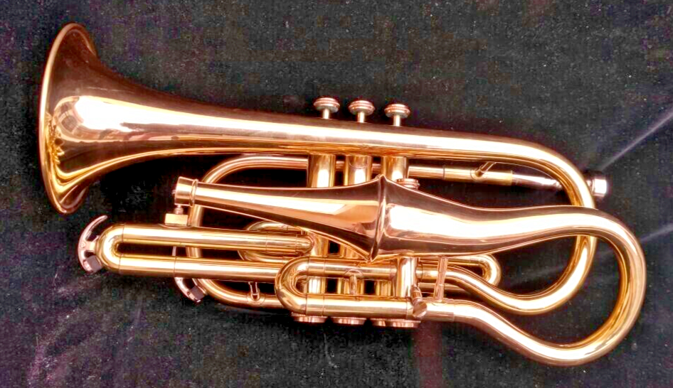 Echo Cornet W/extra Mute Effects Customized Cornet Duplex Music Jazz ...
