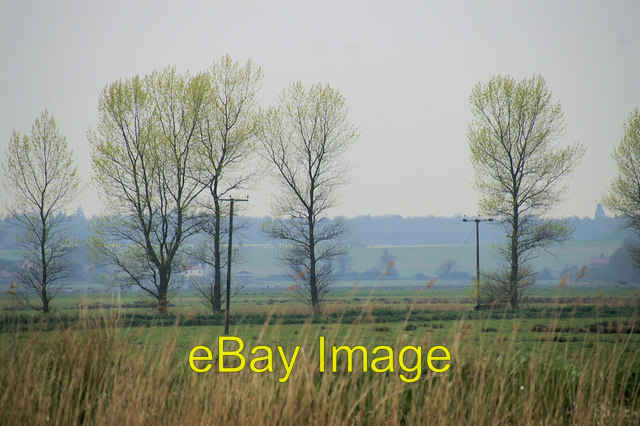 Photo 6x4 Langley Marshes Cantley/TG3803 Trees west of Hardley Mill ...