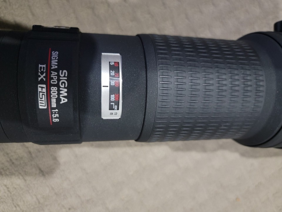 Sigma 800mm f/5.6 D EX HSM APO Ultra Telephoto Lens for Canon | eBay