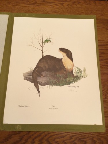 1972 Signed Print “The Otter” by Gene Gray | eBay