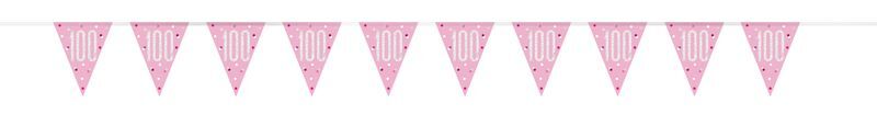 100th Birthday Party Decoration Set Pink Birthday Decor Number ...