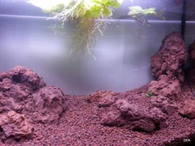 Fish Tank Gravel Aquarium Substrate Sand Plant Soil Volcanic Lava 15kg ...