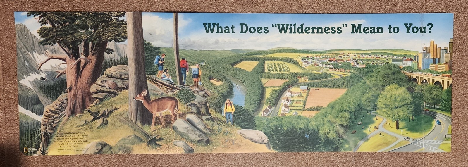 National Geographic "What Does Wilderness Mean to You" 2 Sided Poster ...