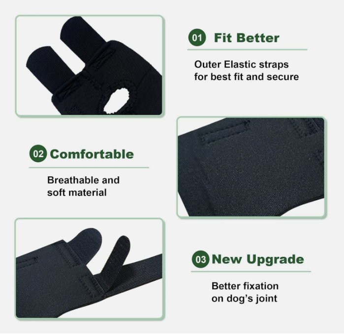 Dog Canine Front Leg Brace Paw Compression Sleeve Joint Wraps - Medium ...