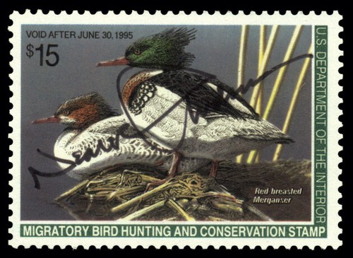 RW61S — Federal Duck Stamp signed by artist Neal Anderson. ON SALE! | eBay