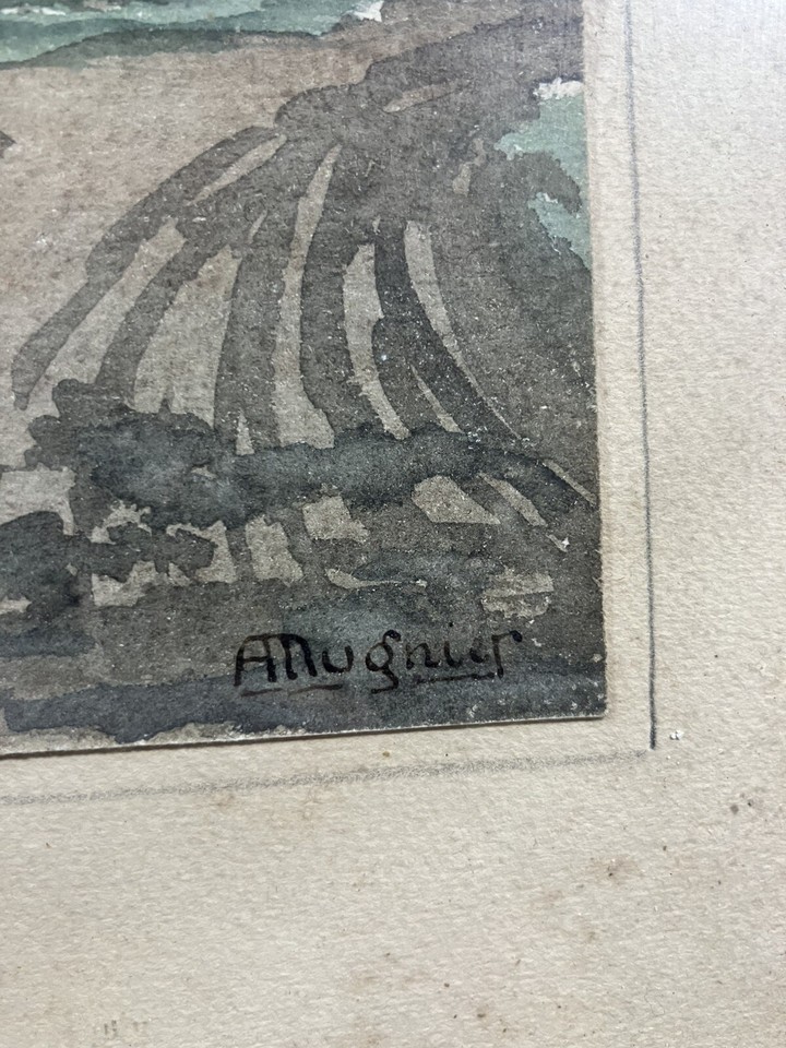 André Mugnier (1875-1920) Stati Uniti Louisiana Studio Di Albero Baton ...